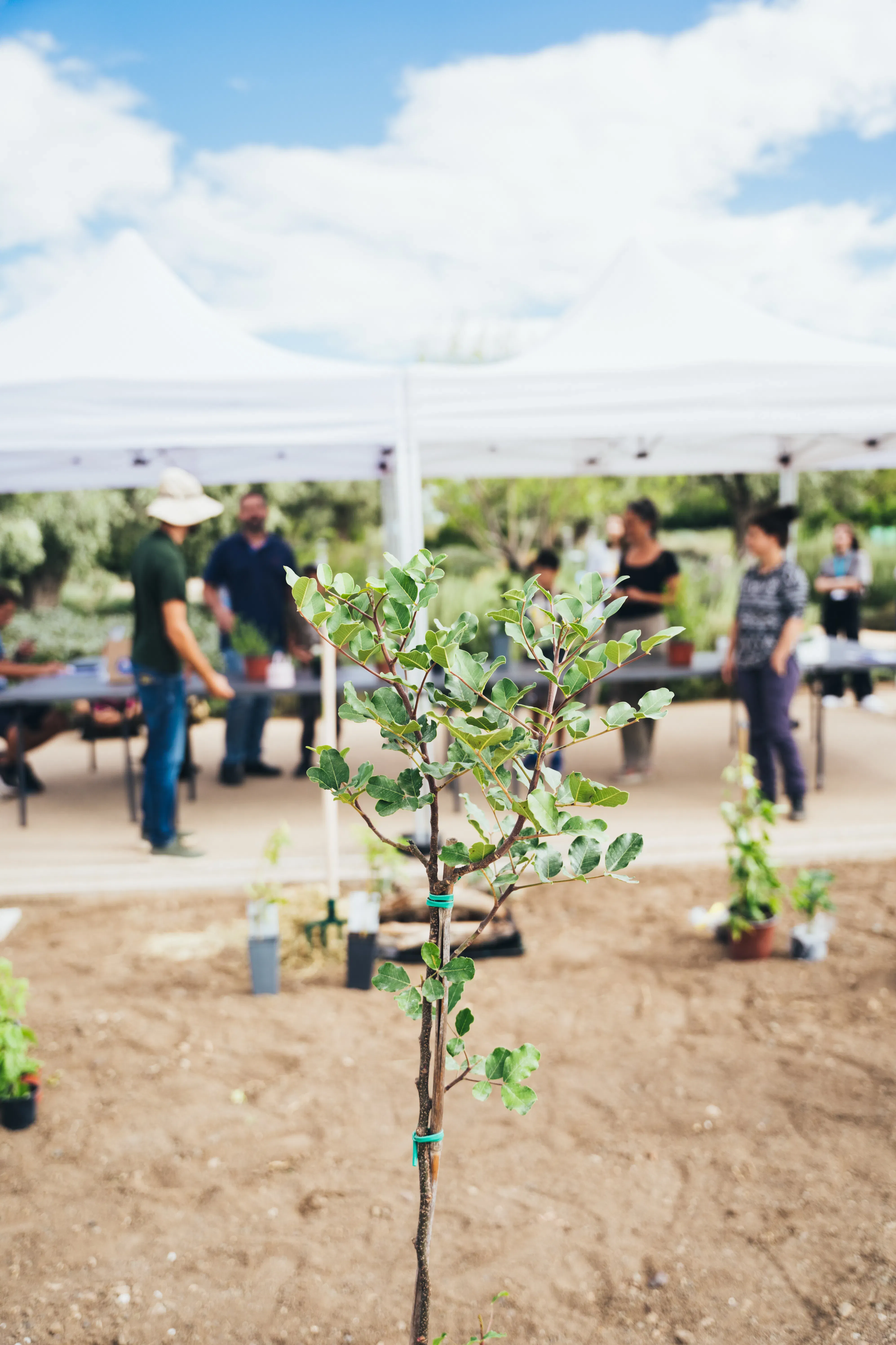 The Nature Club | for Adults - SNFCC