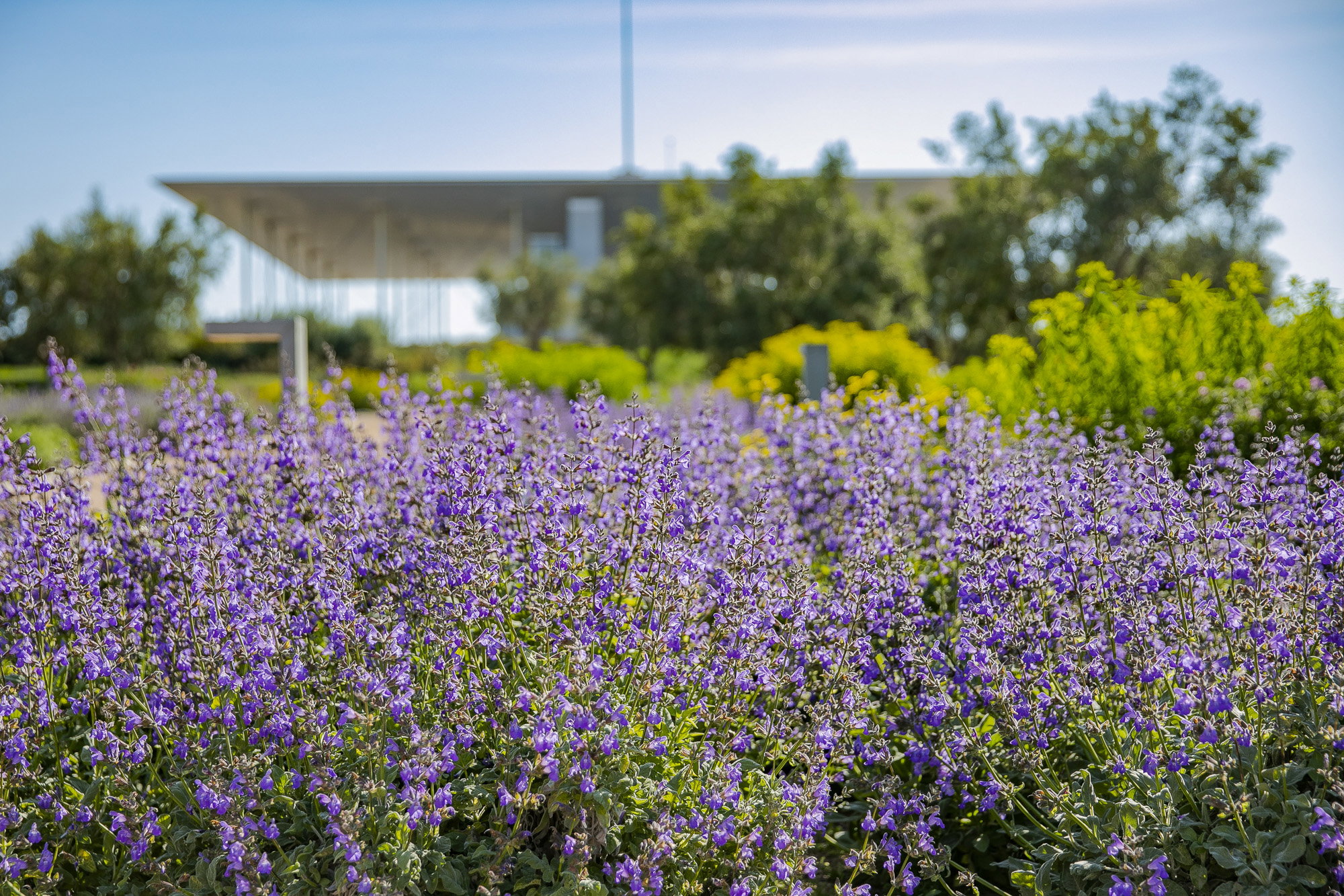 Spring at Stavros Niarchos Park - SNFCC